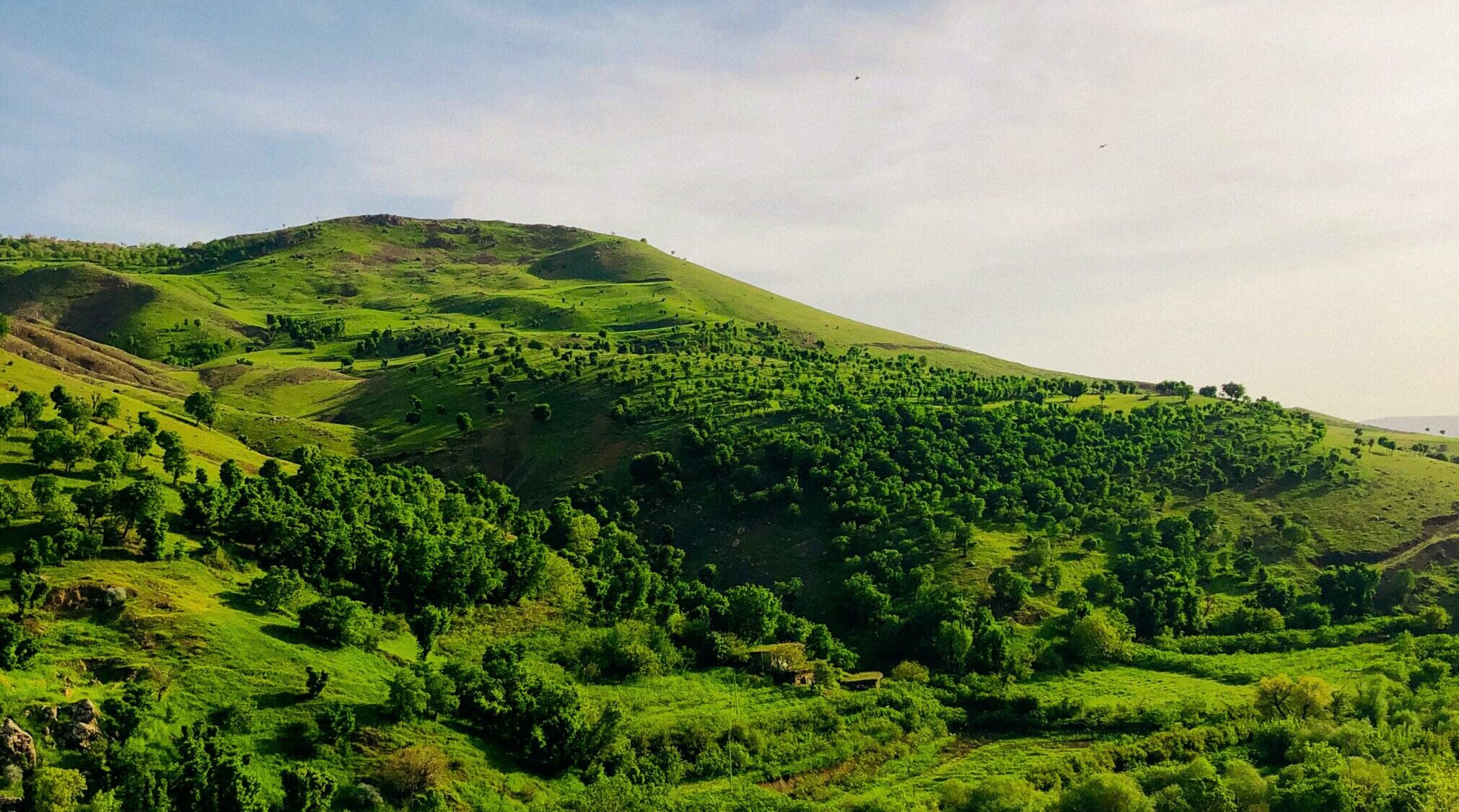 CITAC Energy Transition in Africa Service - CITAC